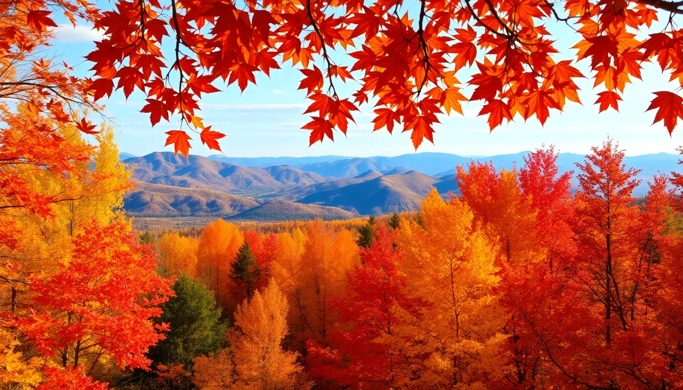 Fall Foliage Prediction Map 2024: Discover When to Catch Vibrant Autumn ...
